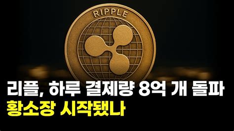 리플 하루 결제량 8억 개 돌파황소장 시작됐나 Youtube