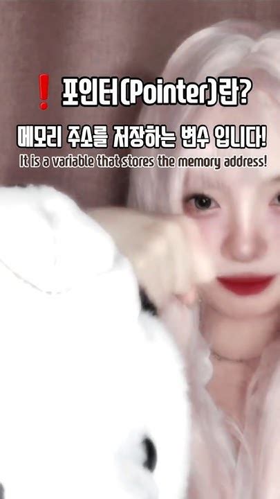 C언어 포인터c Language Pointer Youtube