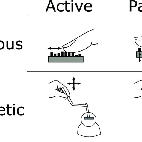 Classification Of Haptic Interaction According To The Exploration Download Scientific Diagram