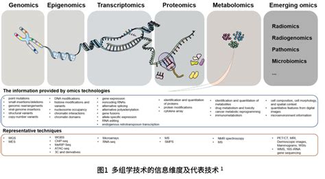 数字生命新时代：人工智能 多组学驱动的精准医疗 知乎