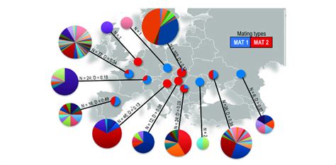 Microsatellite Haplotype Diversity And Mating Type Ratios Of D Pini In