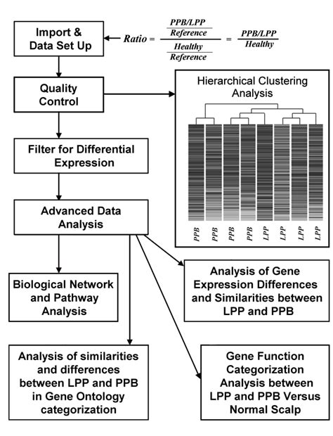 microarray data processing events sequence flow chart and hierarchical