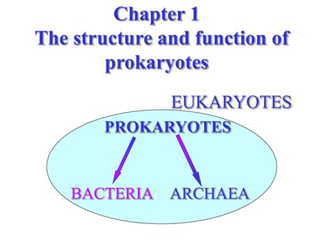 Prokaryotes