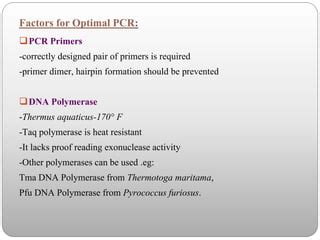 PCR Types Pdf