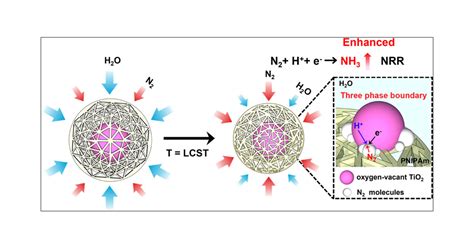 Three Phase Boundary Engineering Using Hydrophilichydrophobic Polyn Isopropylacrylamide With