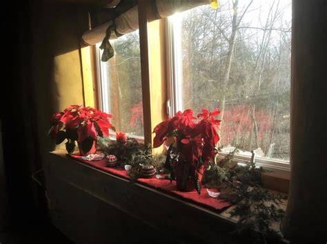 Hope In The New Year A Dancing Rabbit Update Dancing Rabbit Ecovillage