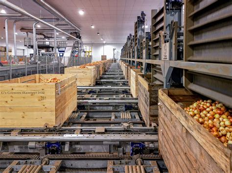 Gs Growers Advanced Optical Sorting Tong Engineering