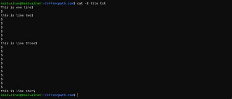 How To Use Cat Command Fast And Easy Guide Offsecpath