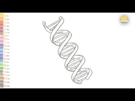 DNA Detailed Diagram Easy How To Draw Human DNA Diagram Simply Human Drawing Outline