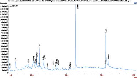 Gc Ms Chromatograms Of G Cyanocarpa Extracted With Ethanol Solvent Download Scientific Diagram