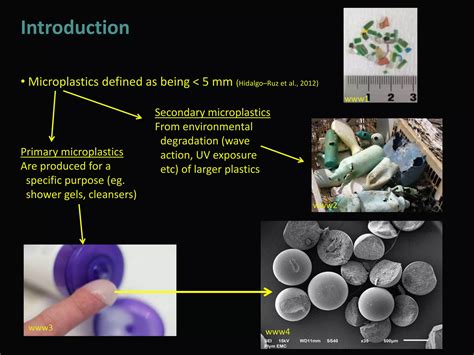 Counting And Sizing Microplastic Fribres The Accurate And Easy Way Ppt