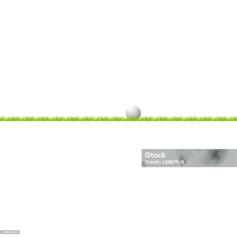잔디로 골프 공입니다 잔디 배경 벡터 일러스트 레이 션 Eps10 가죽에 대한 스톡 벡터 아트 및 기타 이미지 가죽 경쟁 골 스포츠 장비 Istock