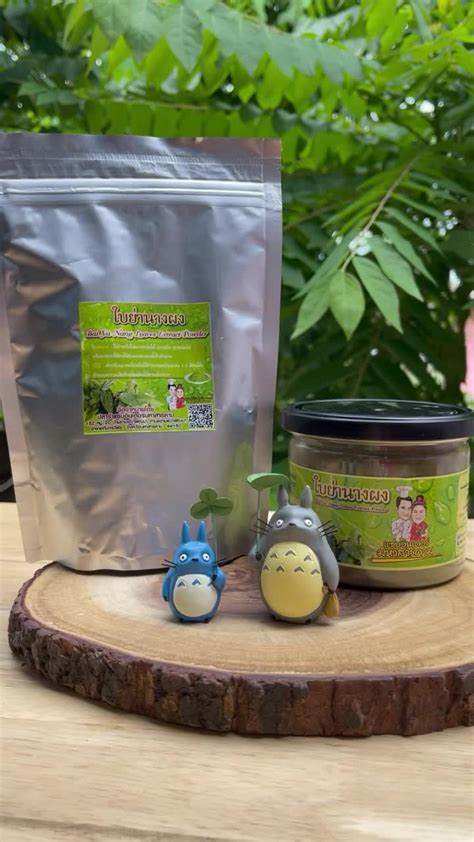 🍃ย่านางผง Organic 🍃 ผลิตจากใบย่านางล้วนๆ ไม่มีอย่างอื่นเจือปน สมุนไพรแท้💯 แกงเห็ด แกงหน่อไม้ ซุป