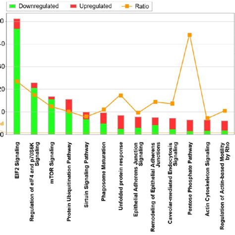 Canonical Ingenuity Pathway Analysis Ipa Pathways Altered In