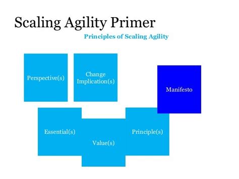 Scaling Agility Primer Principles Of Scaling Agility V1