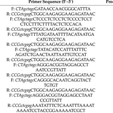 Dolang Sheep Lin28b Promoter Fragment Deletion Vector Electrophoresis