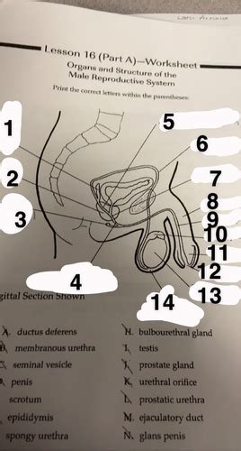 Chapter Flashcards Quizlet