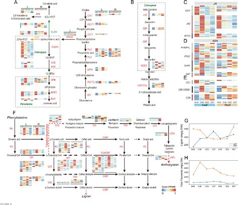 Figure 5 From Transcriptome Dynamics In Artemisia Annua Provides New