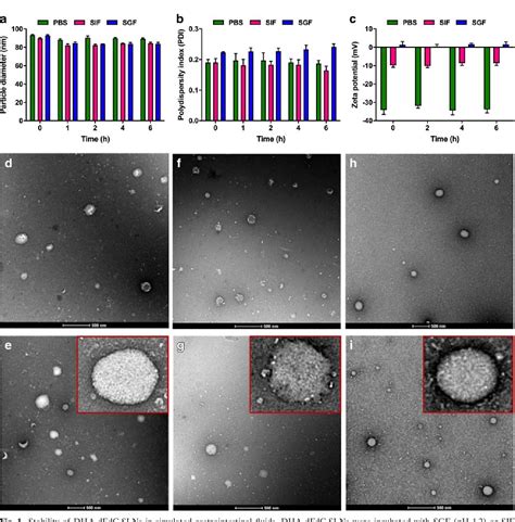 Figure 1 From Effect Of A Solid Lipid Nanoparticle Formulation On The