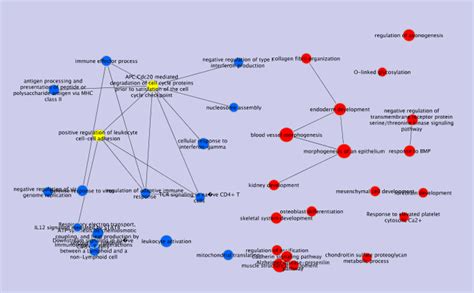Grouping And Layout — Autoannotate 15 Documentation