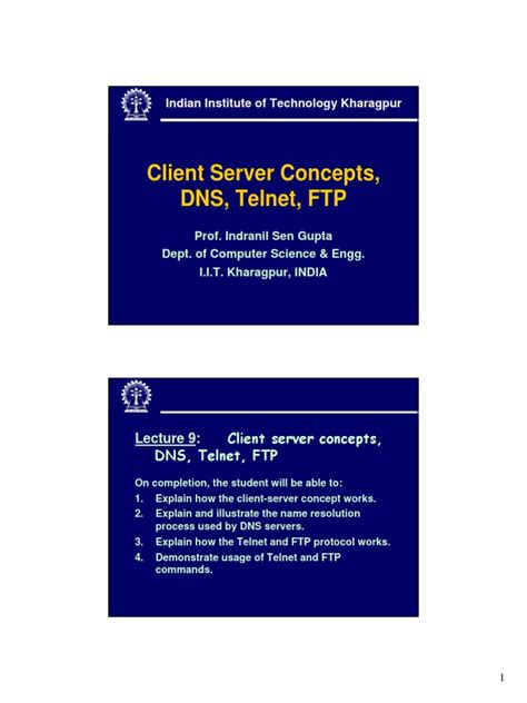 Client Server Concepts Dns Telnet And Ftp Protocols An Overview Pdf File Transfer