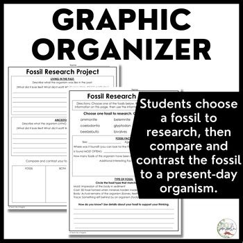 Fossil Research Project Types Of Fossils By Teach Like A Pangolin