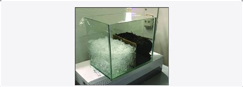 Real Scale Permeability Test Experimental Apparatus Download