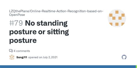 No Standing Posture Or Sitting Posture Issue LZQthePlane Online Realtime Action