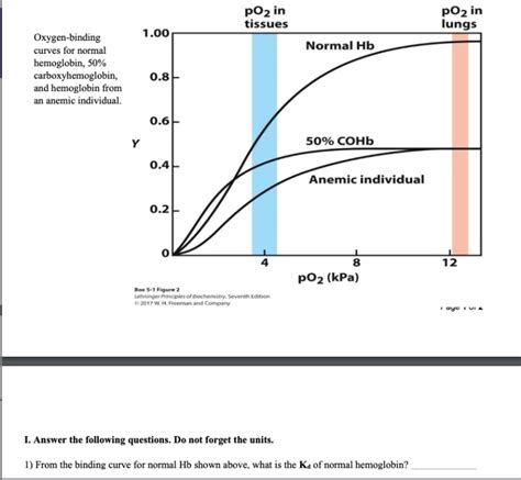 Answered Po2 In Tissues P02 In Lungs 1 00… Bartleby