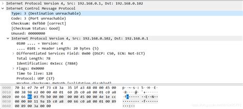 Icmp协议分析icmp Echo Csdn博客