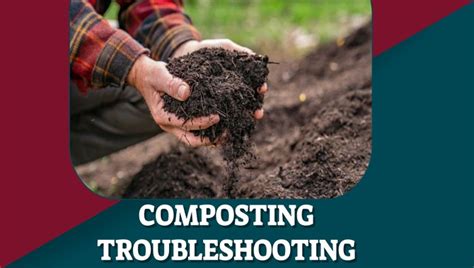 Composting Troubleshooting A Comprehensive Guide