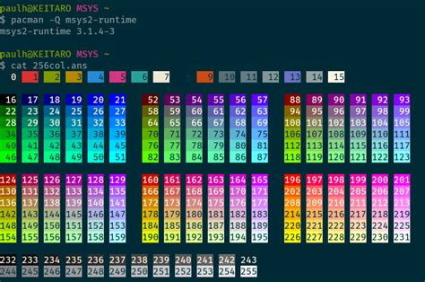 Using Msys2 In Windows Terminal · Issue 1684 · Msys2msys2 Packages