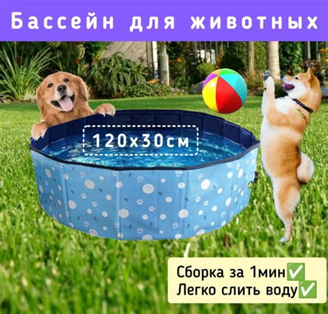 Бассейн для собак, 120*30 - купить с доставкой по выгодным ценам в ...