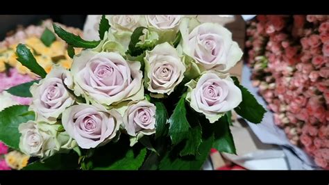 오번가 장미 생화 꽃집 꽃집창업 꽃값 온라인꽃시장 온라인꽃도매 인터넷꽃시장 인터넷꽃도매 서울꽃시장 꽃농장 꽃배송 생화배송 생화도매 생화택배 꽃배달 생화배달 생화주문 생화부케