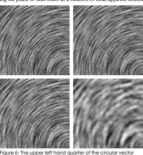 figure 6 from imaging vector fields using line integral convolution