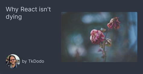 Why React Isnt Dying Tkdodos Blog