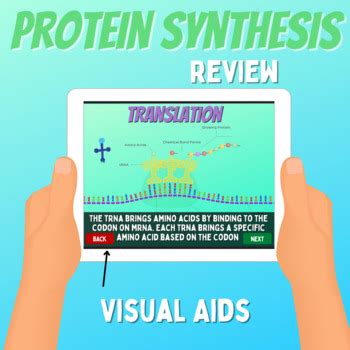 DNA And RNA Lesson DNA Codon Charts Protein Synthesis Digital Lesson Plan