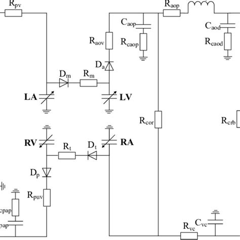 An Analog Circuit Modeling The Cardiopulmonary System P Pressures R