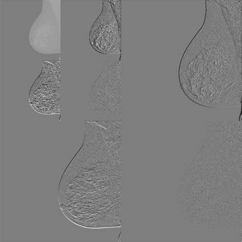 Example For Two Levels Of The Wavelet Decomposition Download