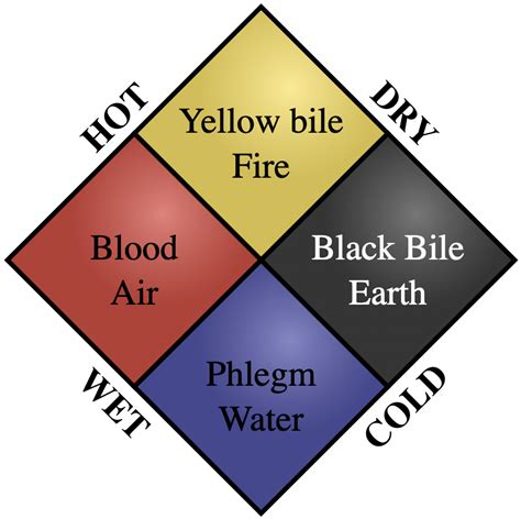The History Of Germ Theory Kinnu
