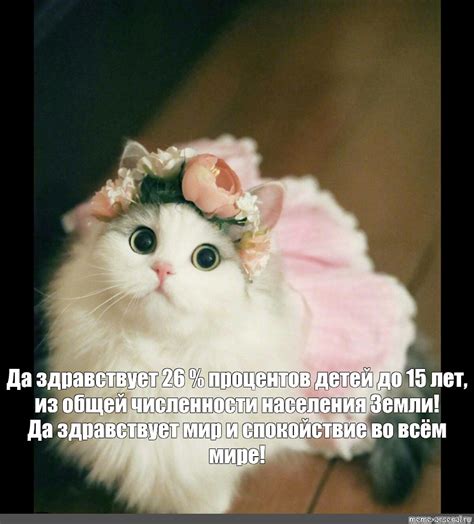 Создать мем няшные котики няшный котик милый котик Картинки Meme