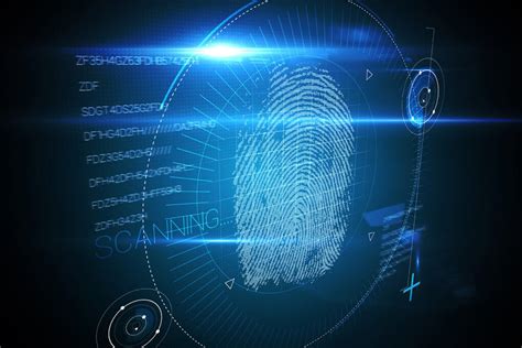 burp suite the power of web application security testing cyberastral