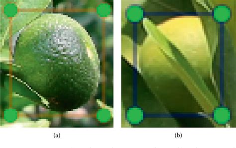 Figure 1 From Detecting Citrus In Orchard Environment By Using Improved