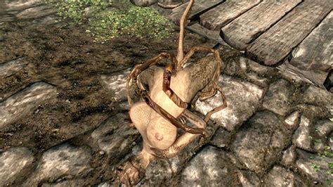 Post 1152613 Argonian Skyrim The Elder Scrolls