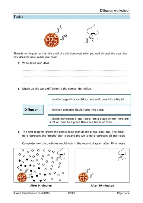 Diffusion Diagram Worksheet