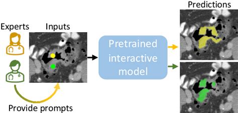 Assessing Test Time Variability For Interactive D Medical Image Segmentation With Diverse Point