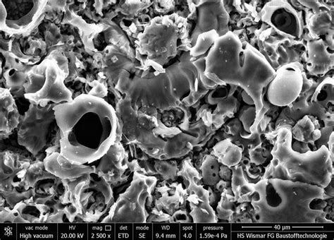 Sem Picture Of Coating Formed On Titanium After Peo Treatment At