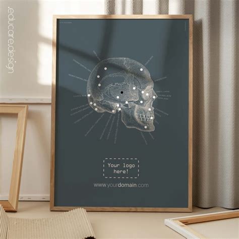 Cranial Bones Lateral Educaredesign