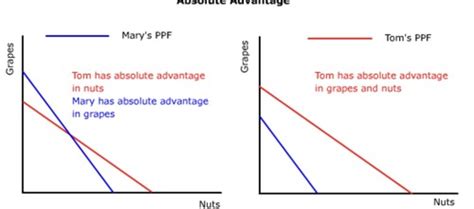 4 2 Absolute And Comparative Advantage Flashcards Quizlet