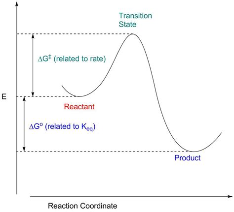 Understanding Energy Reaction Coordinate Diagrams